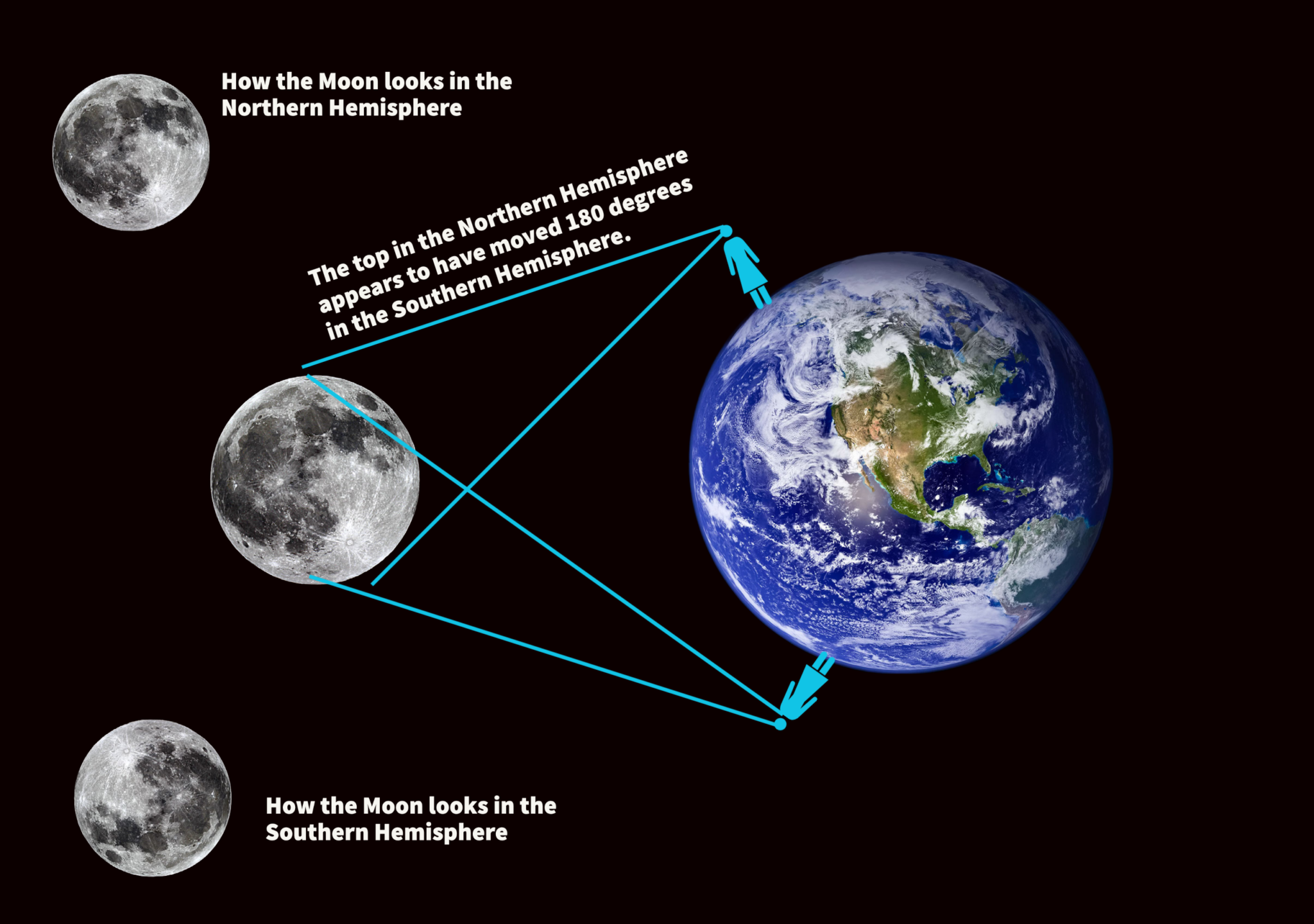 Betty and Randy’s Trip to Antarctica – Betty R. Robinson