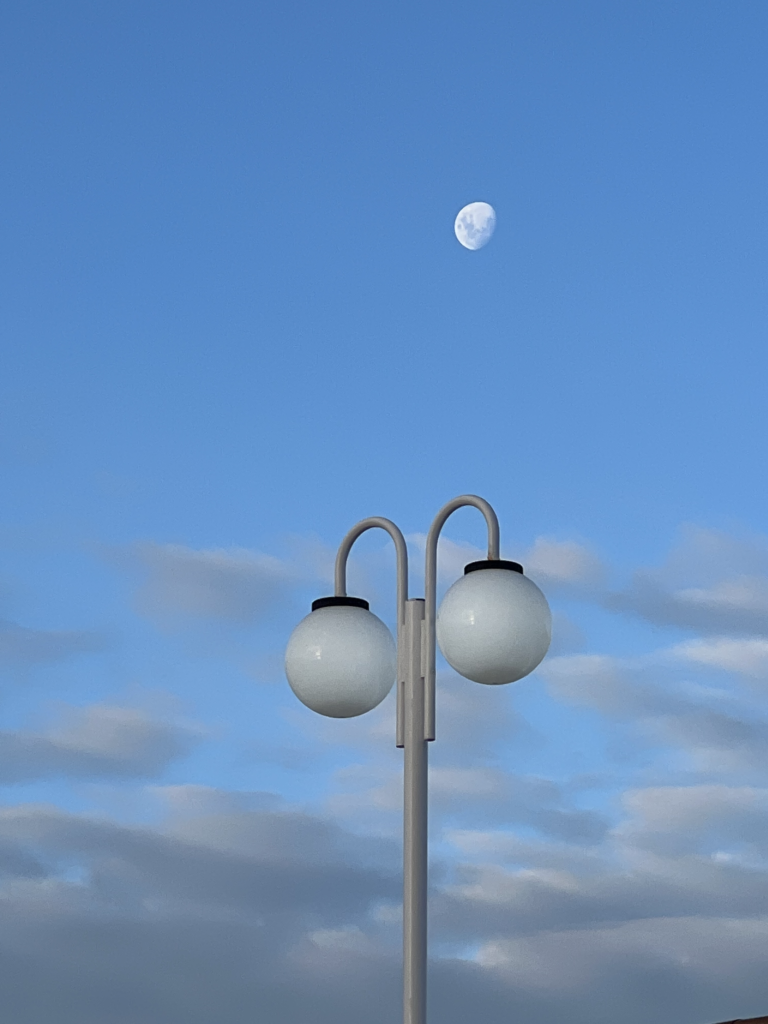 Betty and Randy’s Trip to Antarctica – Betty R. Robinson